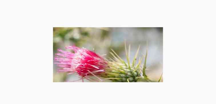 Solved Flutter Video Player Easy Implementation With Practical Example Let Me Flutter 6480