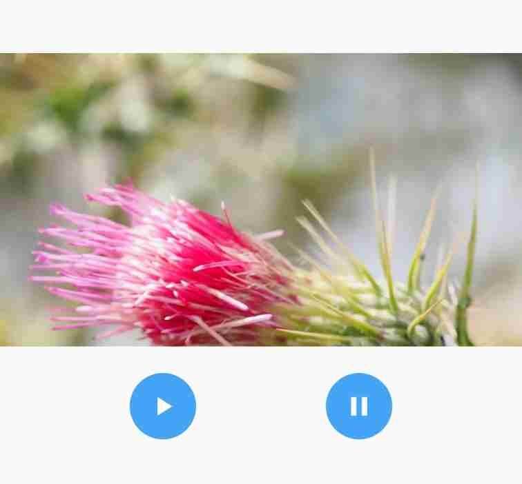 Solved Flutter Video Player Easy Implementation With Practical Example Let Me Flutter 0309