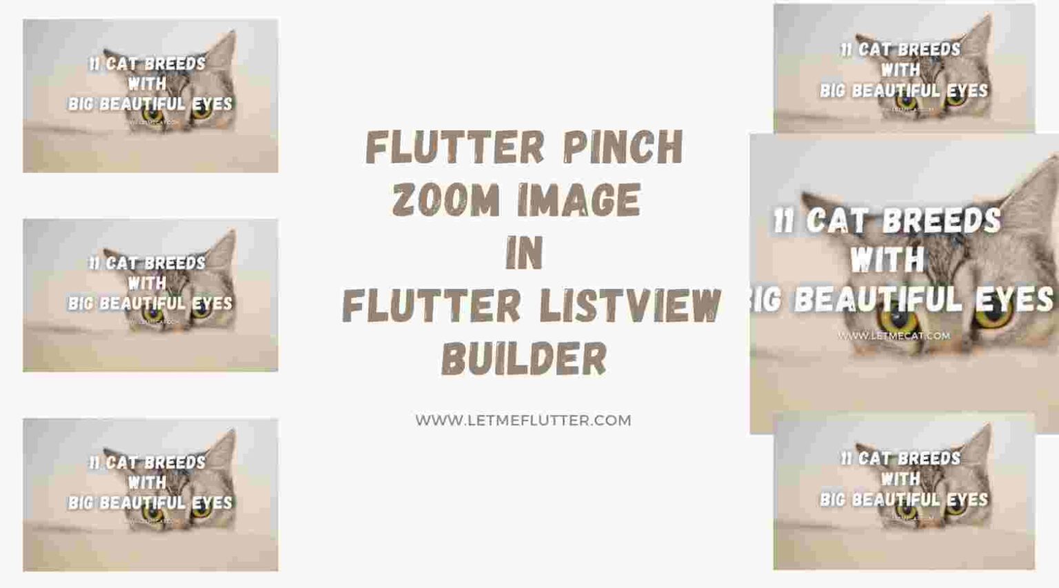 [Solved] Flutter Pinch Zoom Image In ListView Builder - Let Me Flutter